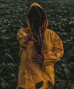 The Nine Basic Plots